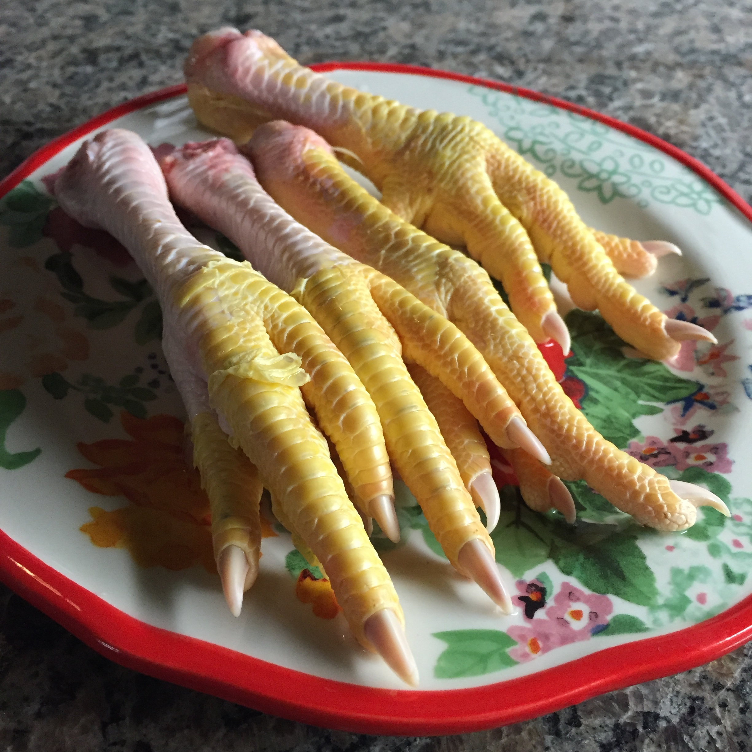  Recipe How To Use Chicken Feet In Bone Broth Theholisticrd